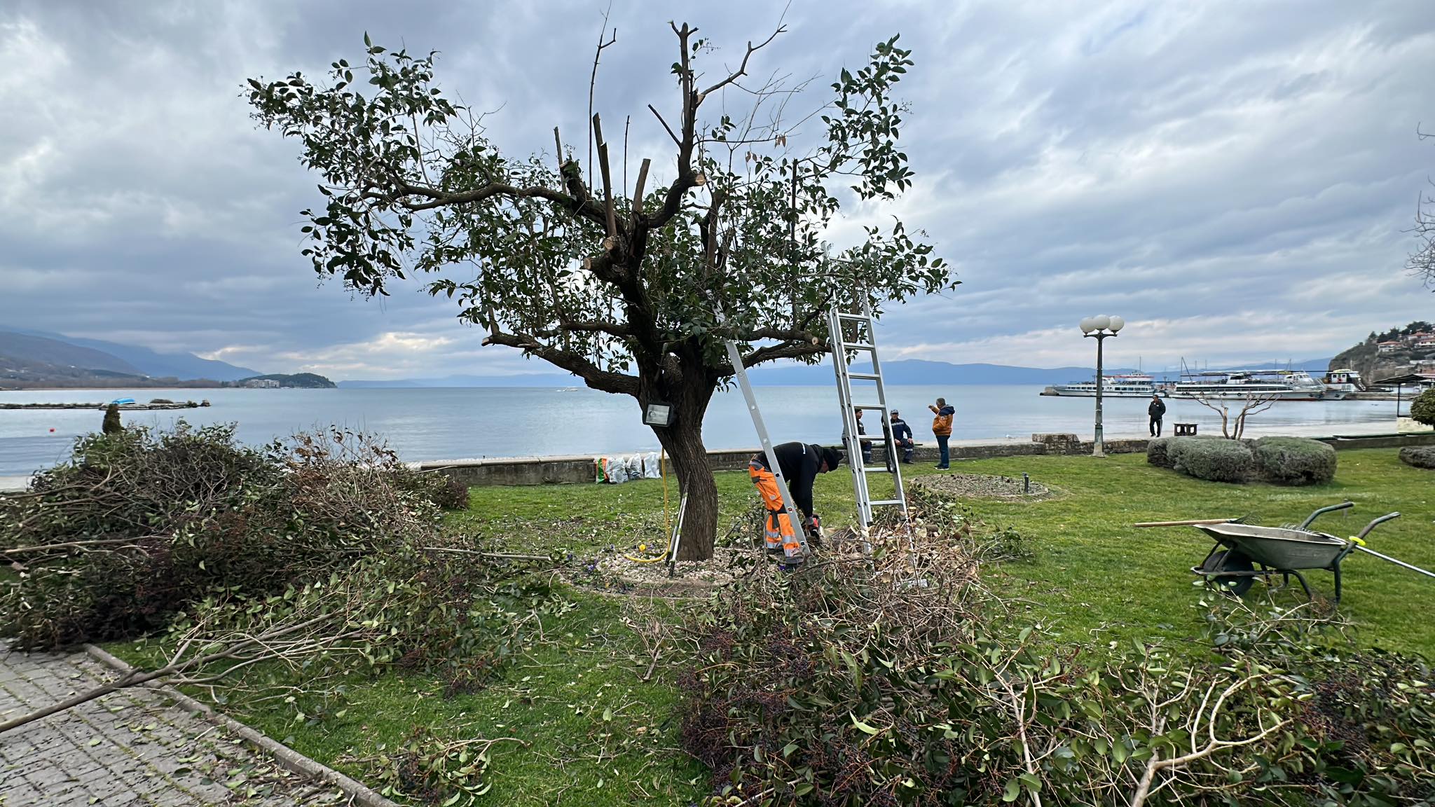 (ВИДЕО) Во пресрет на пролетта се кројат дрвата на Кеј Македонија – Ohrid1